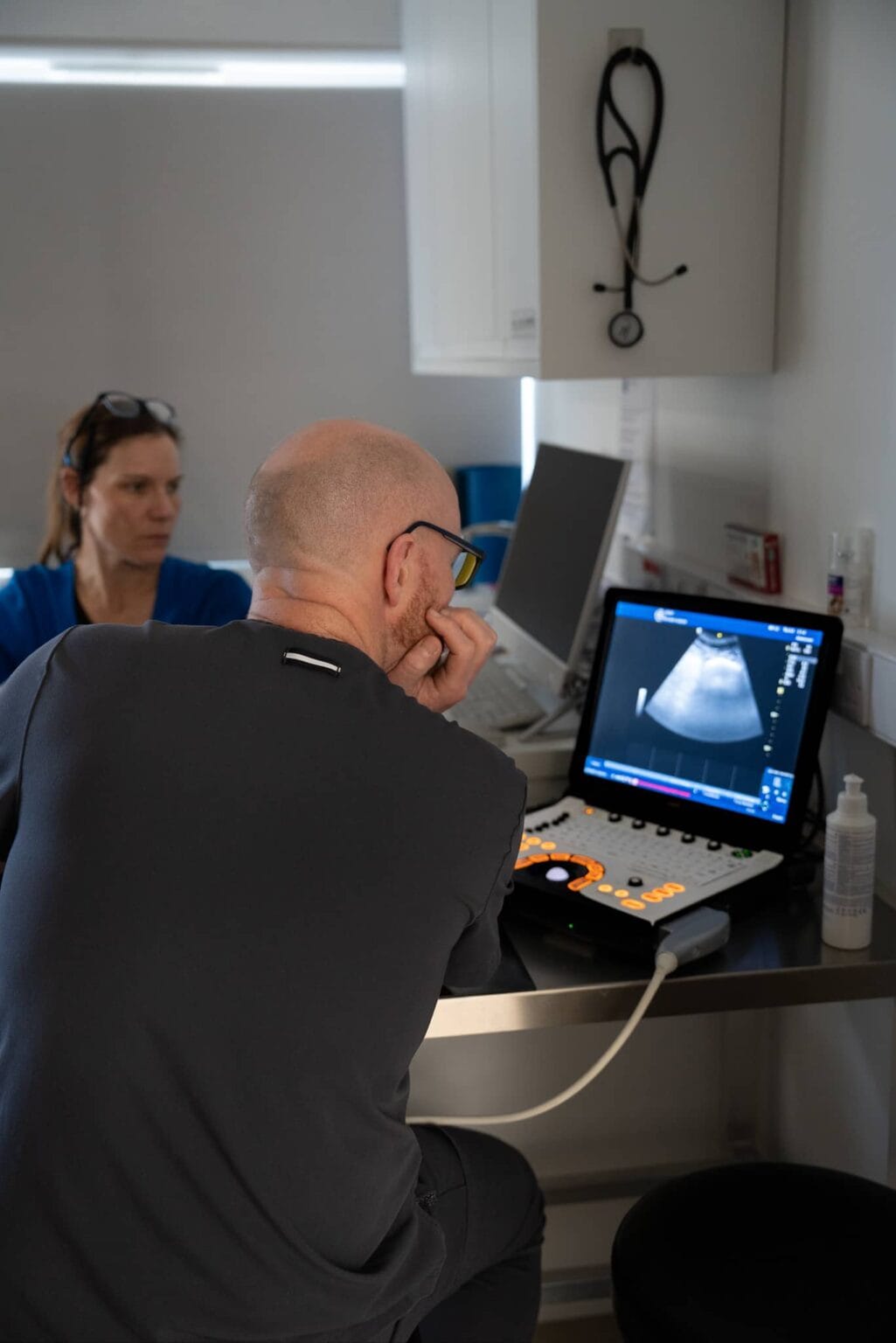 Ultrasound - Taylor Vets