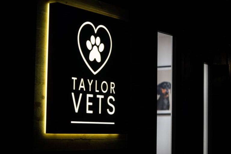 Taylor Vets