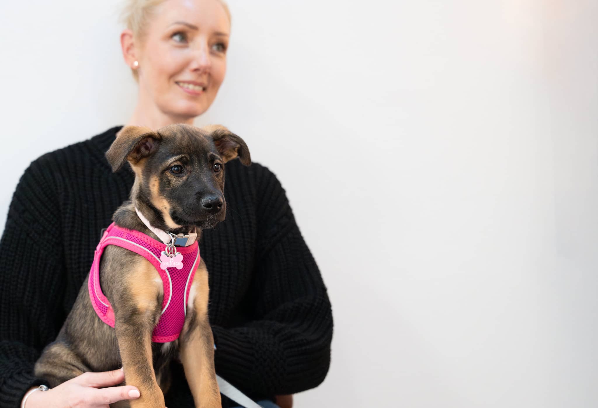 Pricing - Taylor Vets