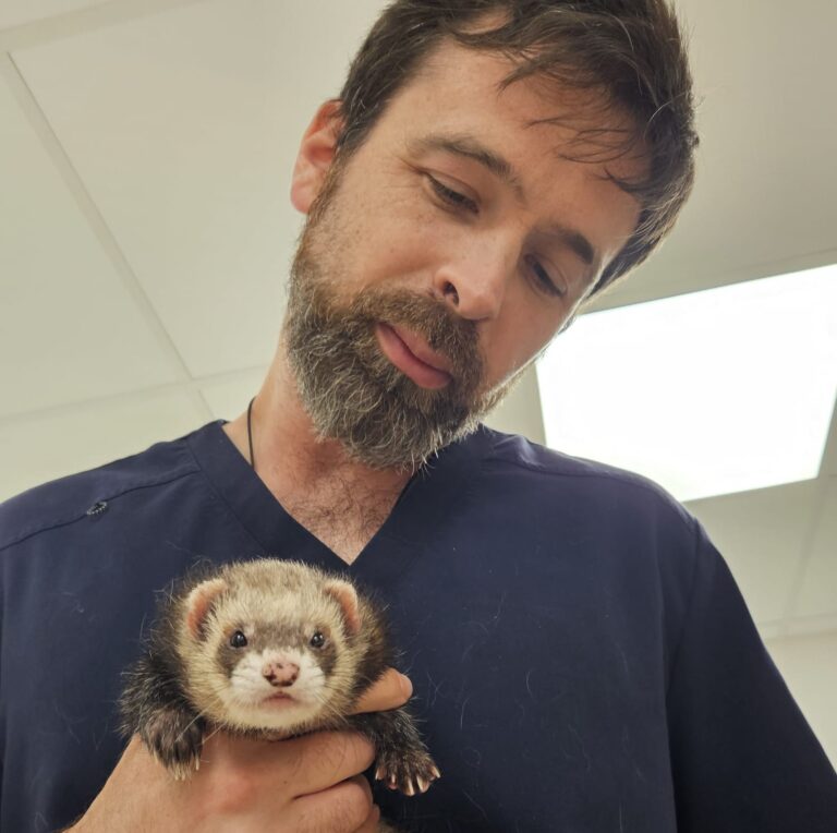 Middleton - Taylor Vets